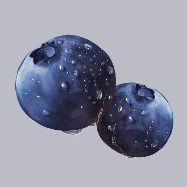 blueberry - ibisPaint